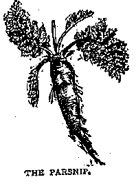 CHAPTER XXV. -- VEGETABLE RECIPES.